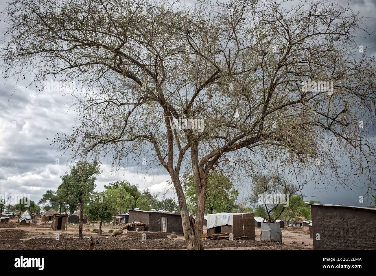 Bidibidi, Morobi, refugee camp, Uganda, Africa Stock Photo - Alamy