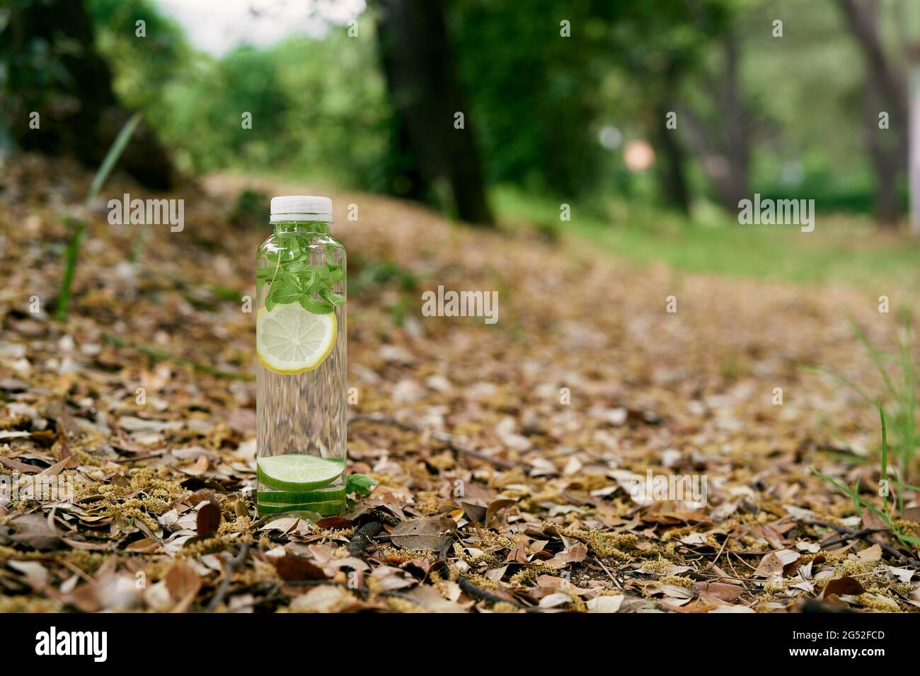 Ground lemon grass hi-res stock photography and images - Alamy