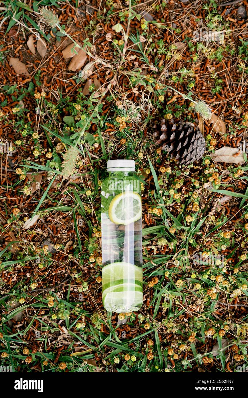 Ground lemon grass hi-res stock photography and images - Alamy