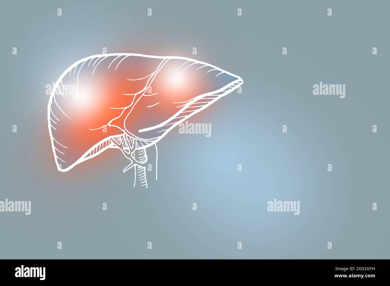 Handrawn illustration of human Liver on light grey background. Medical ...