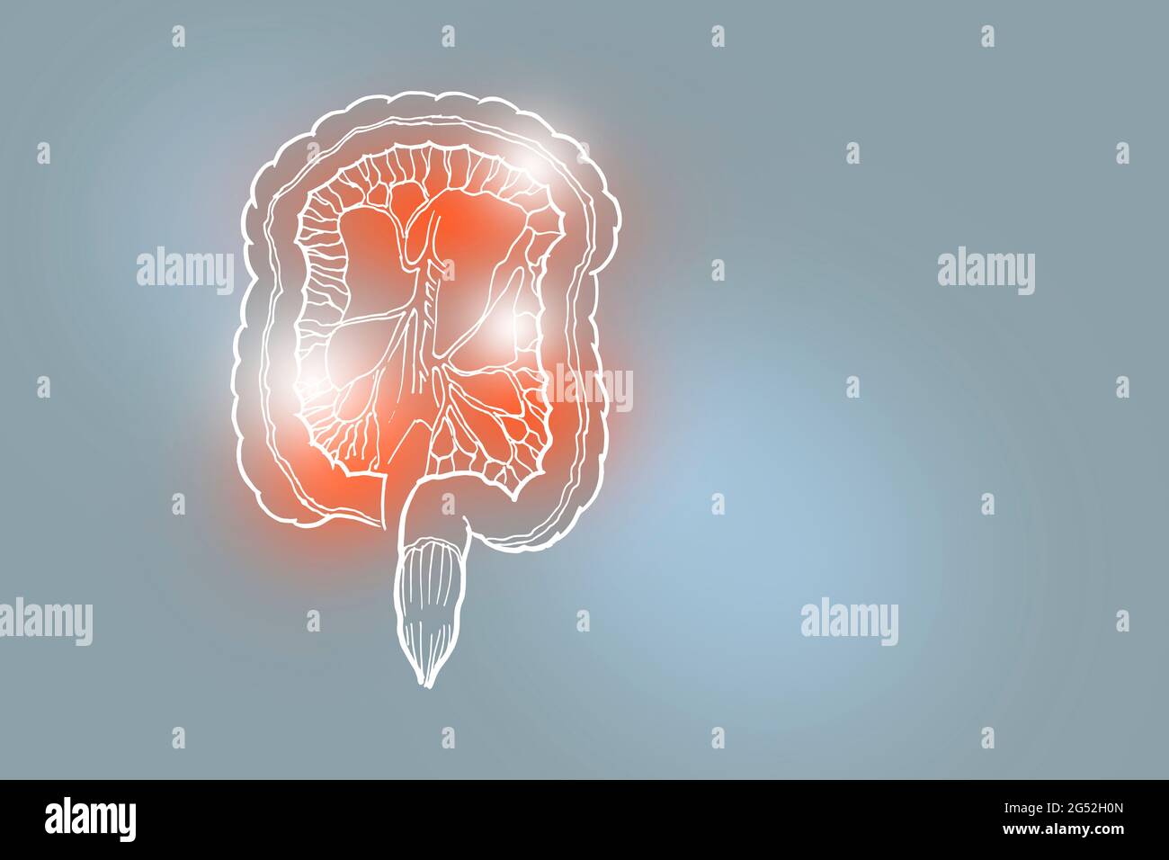Handrawn illustration of human Intestine on light grey background ...
