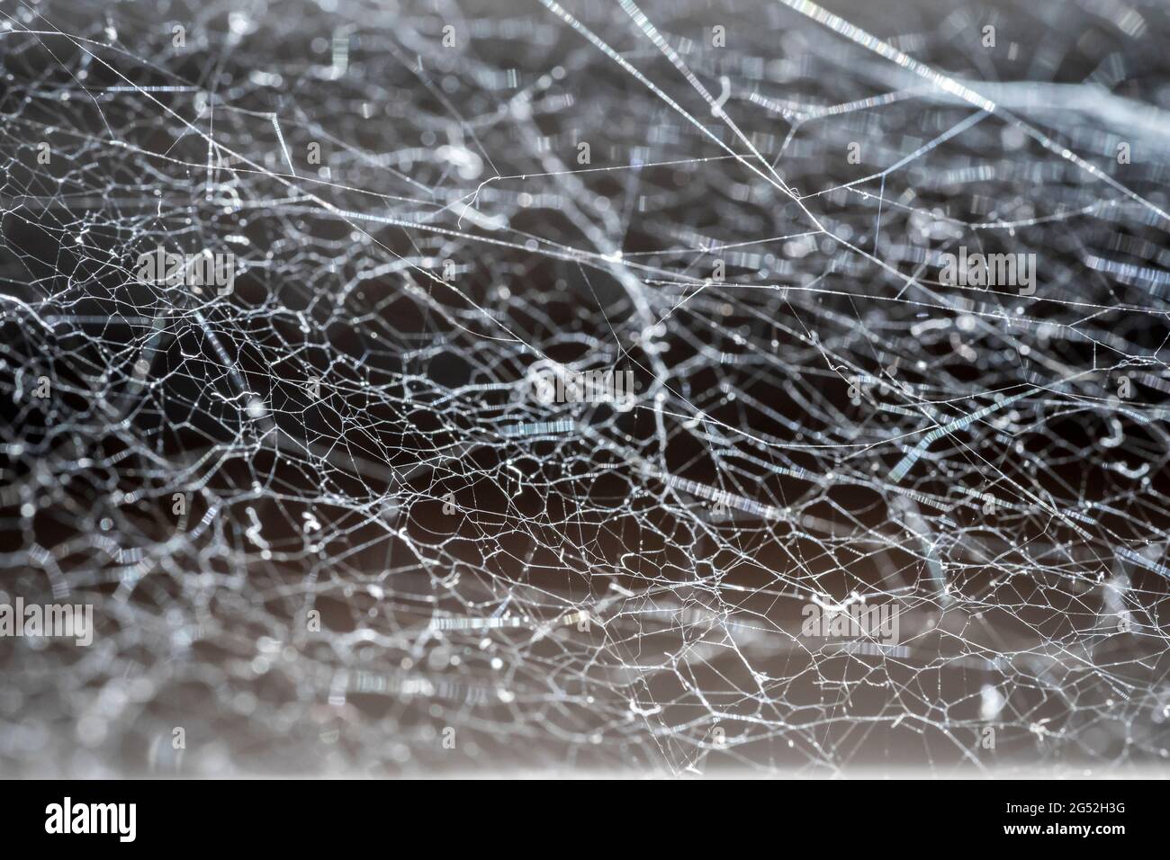 Nightmare with spiders hi-res stock photography and images - Alamy