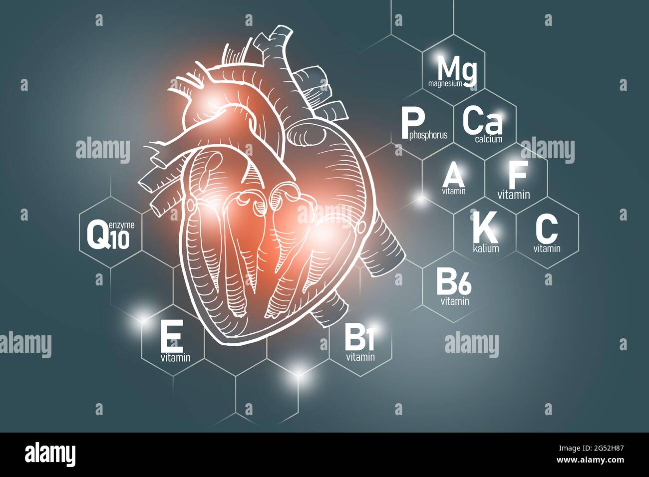 Essential nutrients for heart health including Q10, Calcium, Magnesium ...