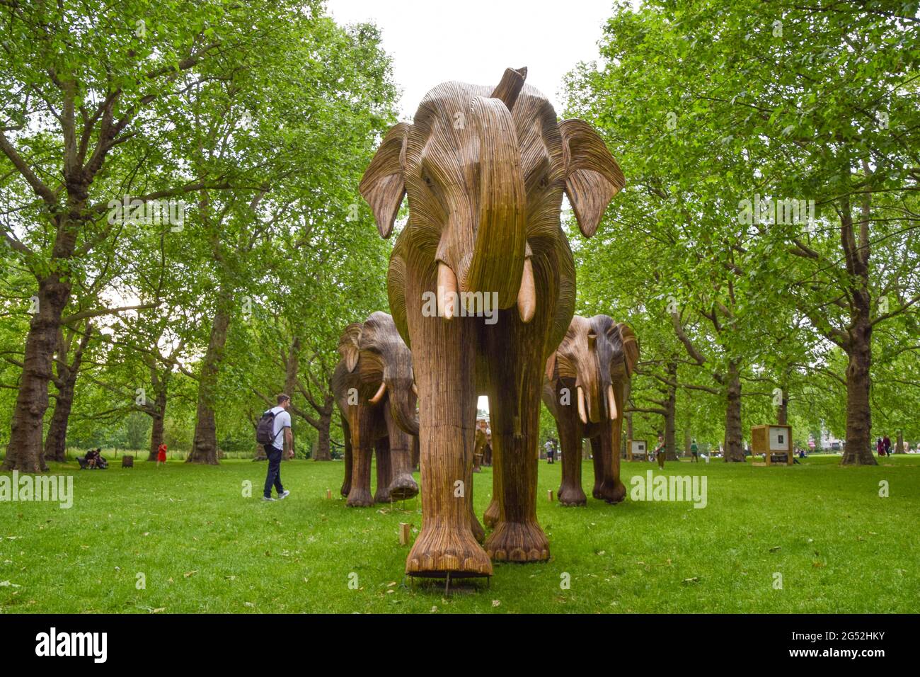 Elephant sculptures in Green Park. Part of the CoExistence art ...
