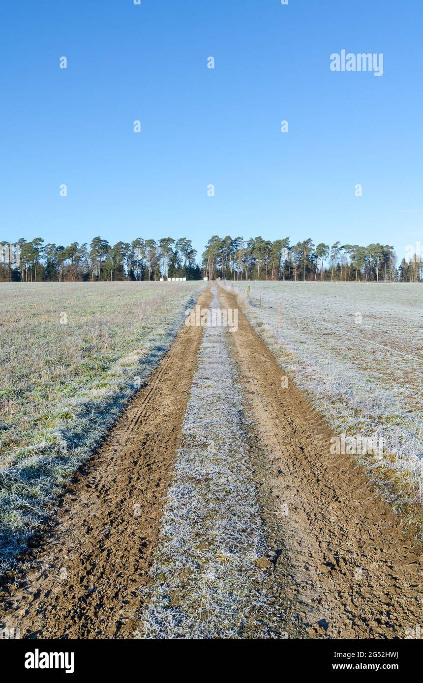 Agricultural road or path in the rural countryside with frozen grass ...