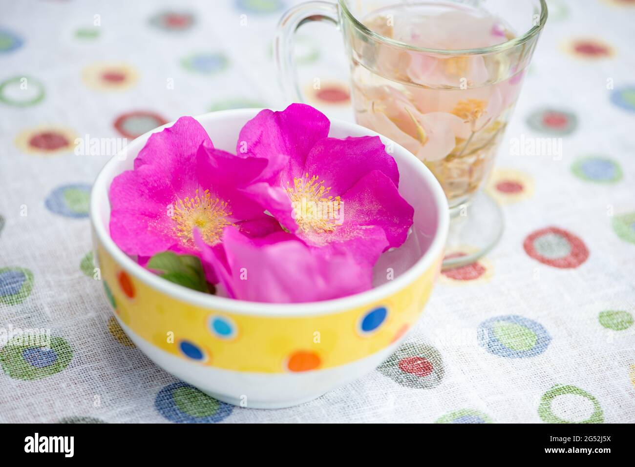 Rugosa rose (Rosa rugosa, Japanese rose) flowers in the bowl and herbal ...