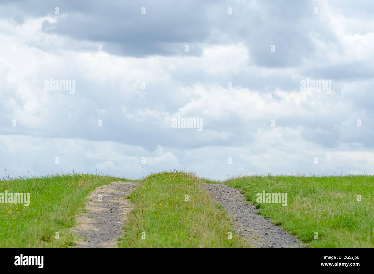 Agricultural road or path in the rural countryside in Germany Stock ...