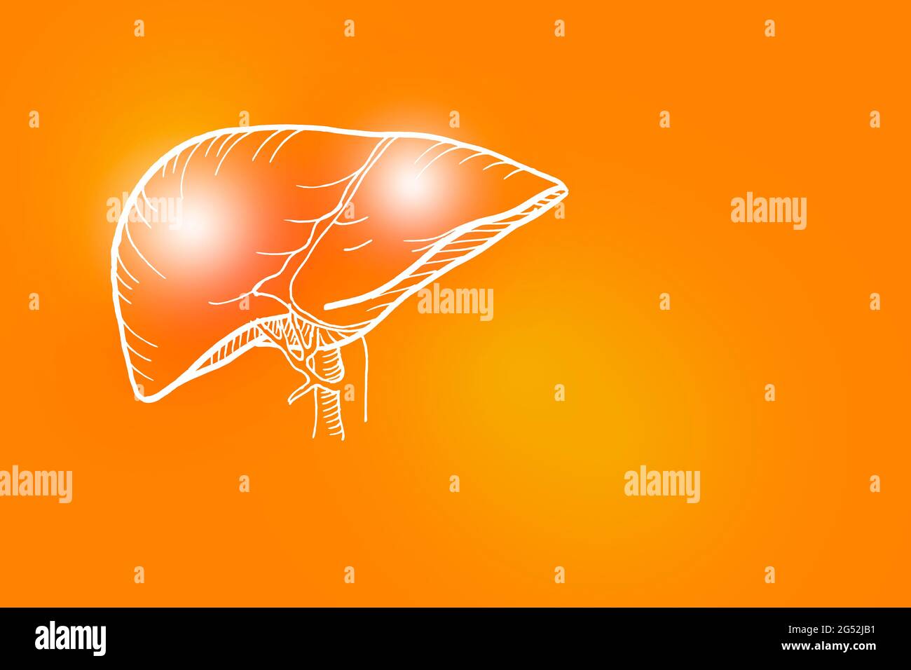 Human liver hi-res stock photography and images - Alamy