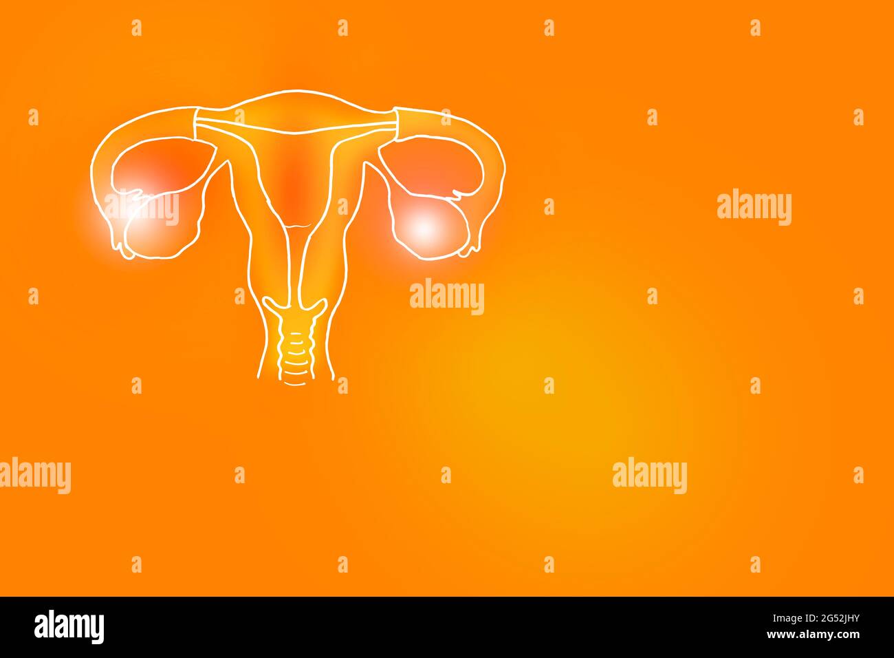Handrawn illustration of human Uterus on positive orange background ...