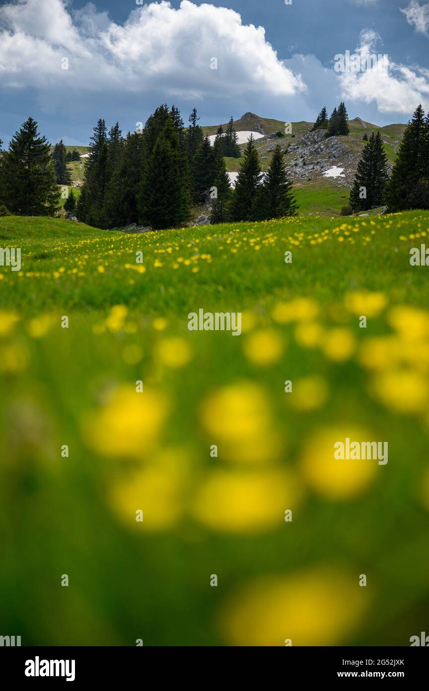 Chemin des cretes du jura hi-res stock photography and images - Alamy