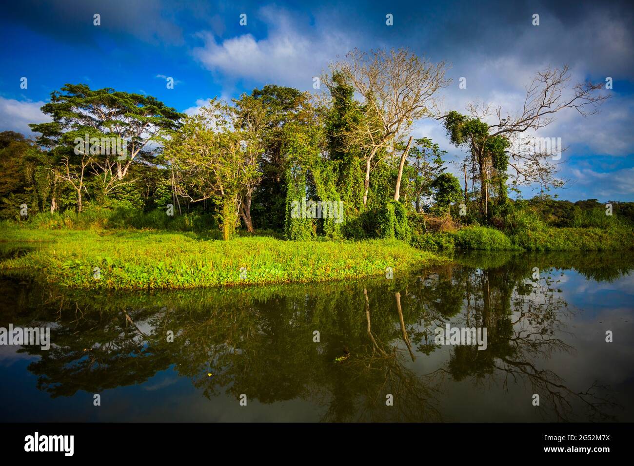 Panama landscape with early morning sunlight on the rainforest on the ...