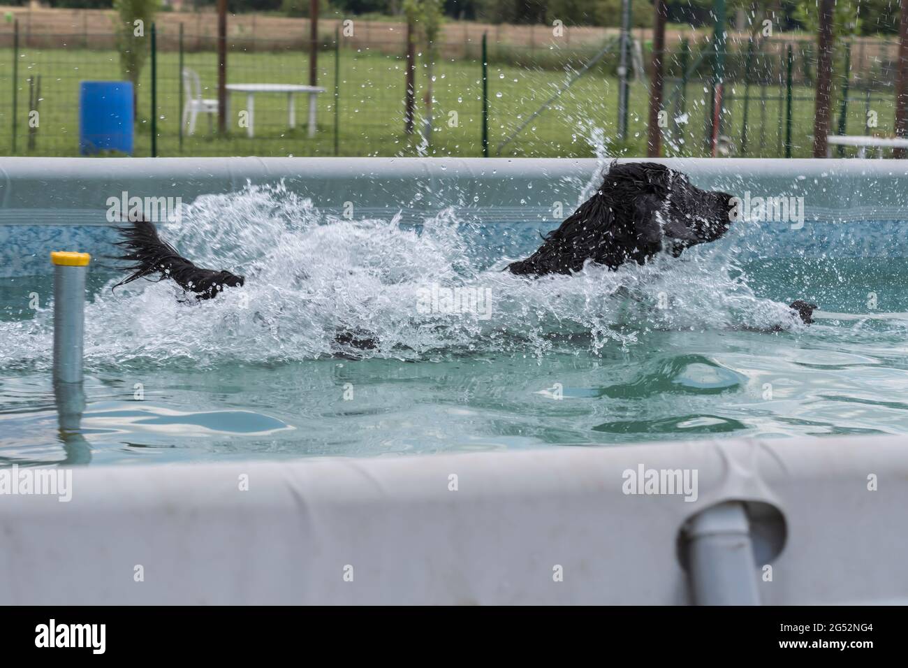 Splash diving hi-res stock photography and images - Alamy