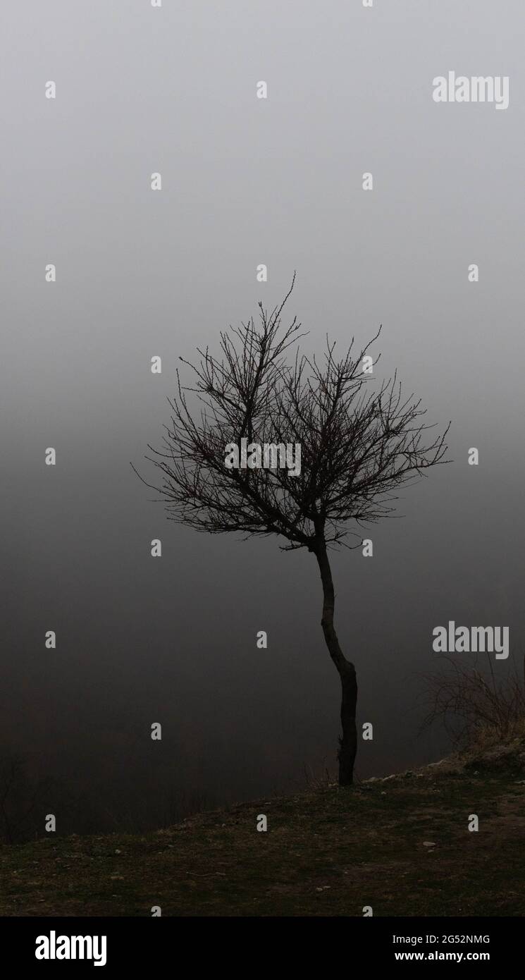Fog gothic hi-res stock photography and images - Alamy