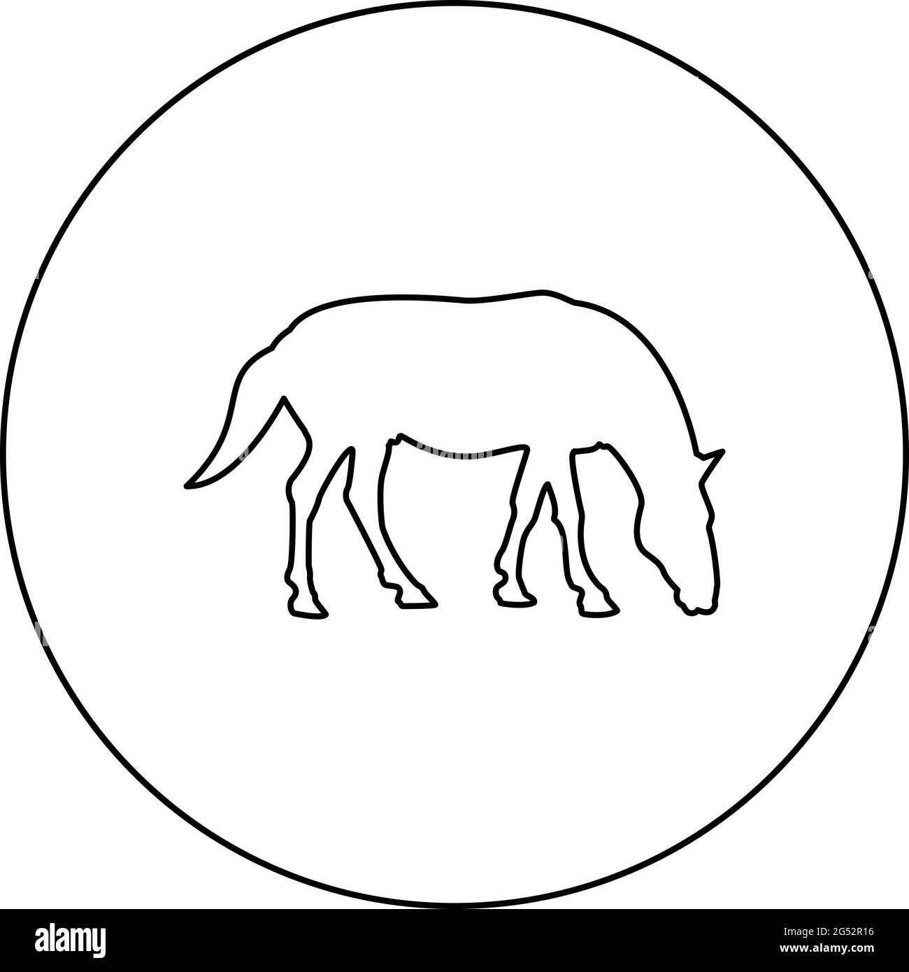 Steed Horse Equestrian Equine Stallion thoroughbred Mustang silhouette ...