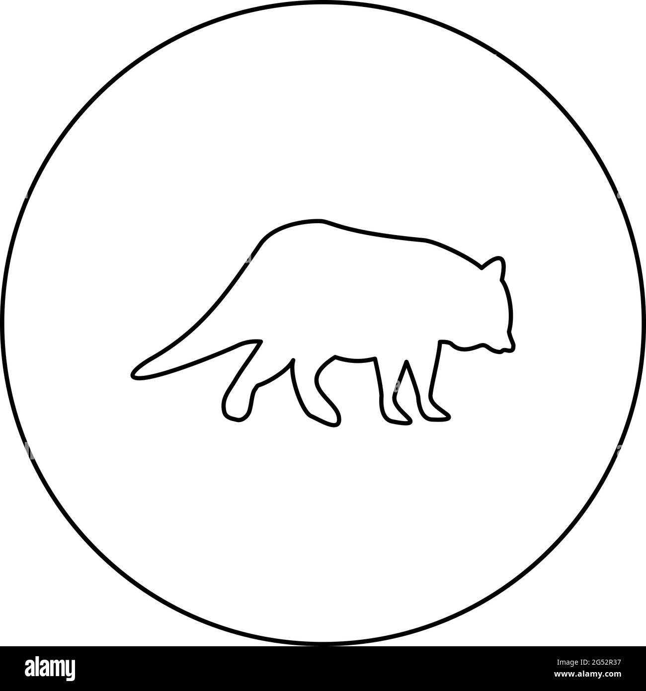 Raccoon Coon silhouette in circle round black color vector illustration ...