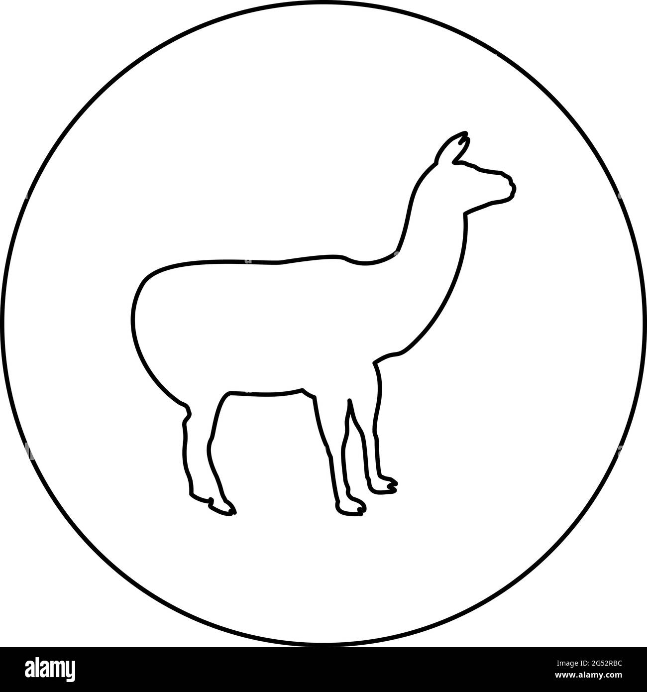 Guanaco Stock Vector Images - Alamy