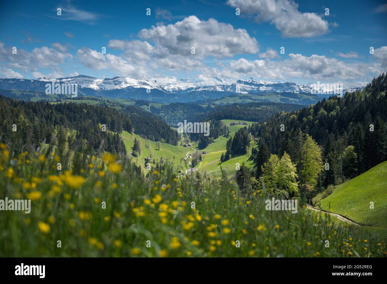 Twärengraben in Trub in spring, Emmental Stock Photo - Alamy