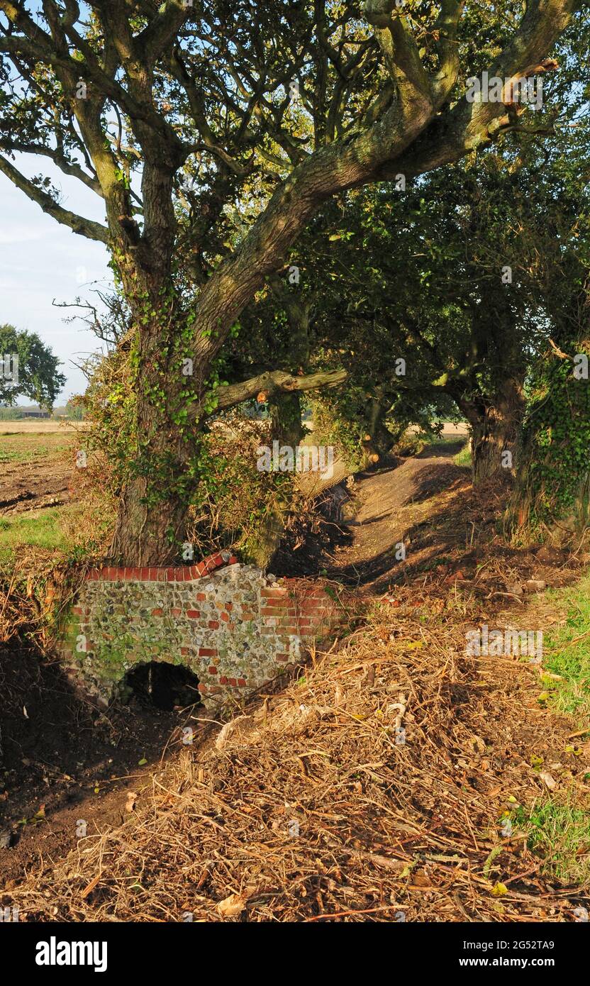 Pathway drainage hi-res stock photography and images - Alamy
