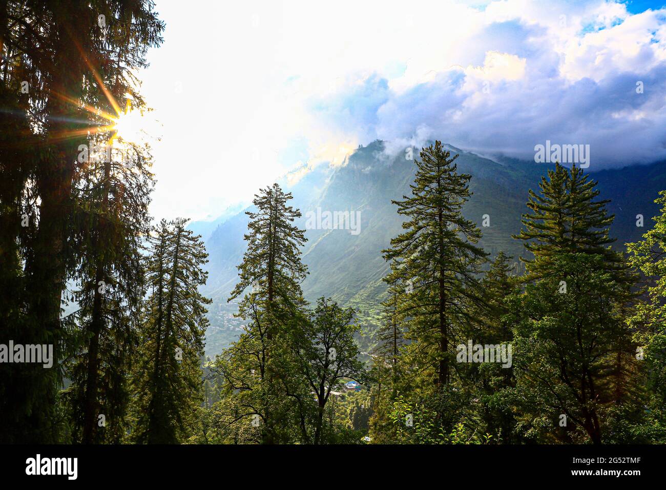 landscape view of himalyan mountains and green tree from kasol Stock ...