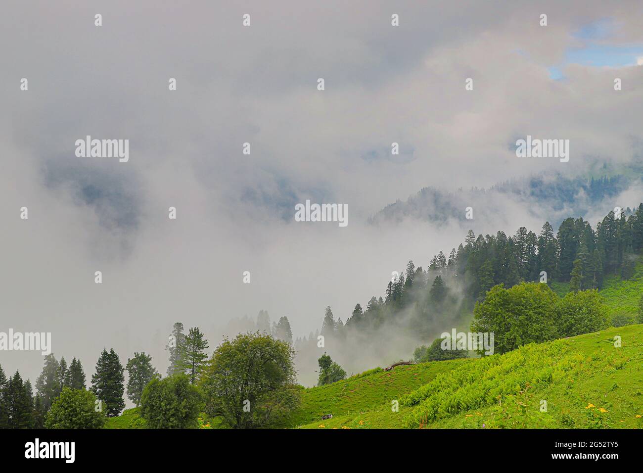 landscape view of himalyan mountains and green tree from kasol Stock ...