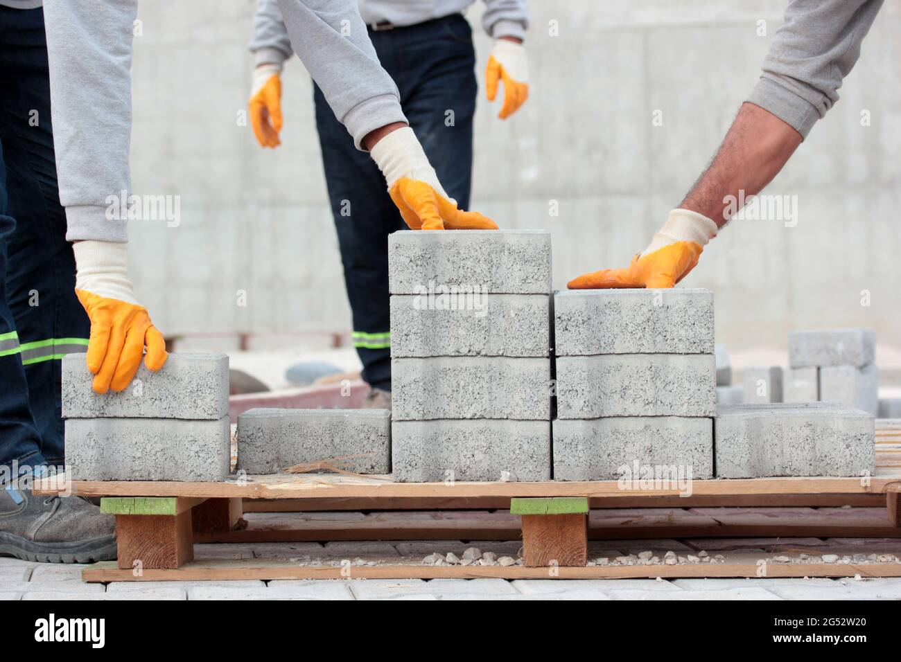 Paving stone worker is putting down pavers during a construction of a ...