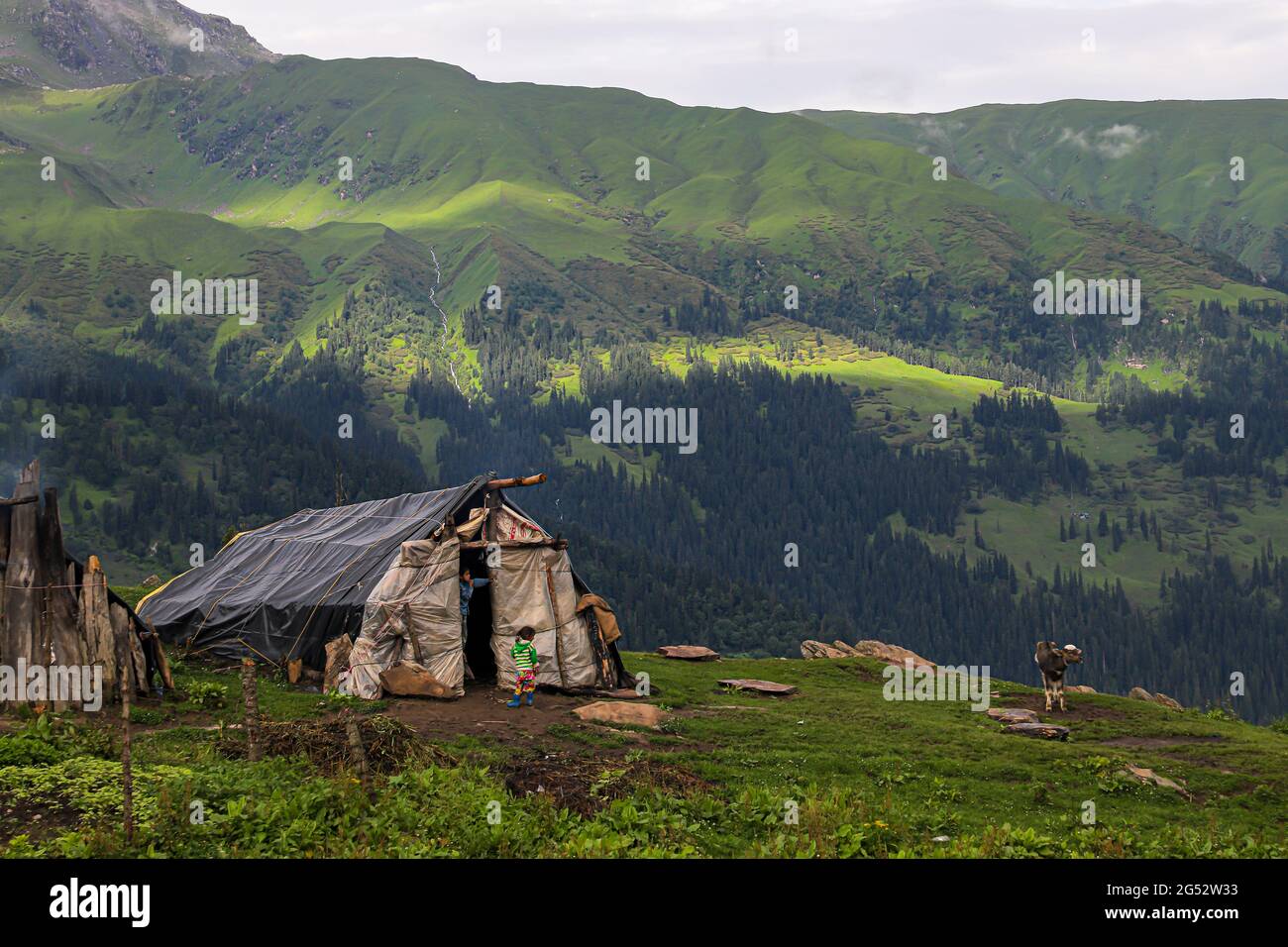 landscape view of himalyan mountains and green tree from kasol Stock ...