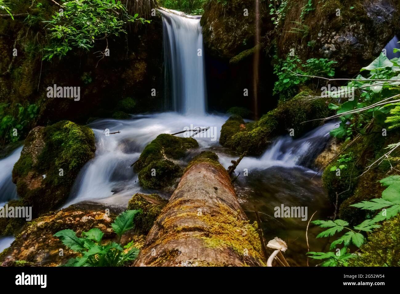 Beautiful brook in mountains wild hi-res stock photography and images ...