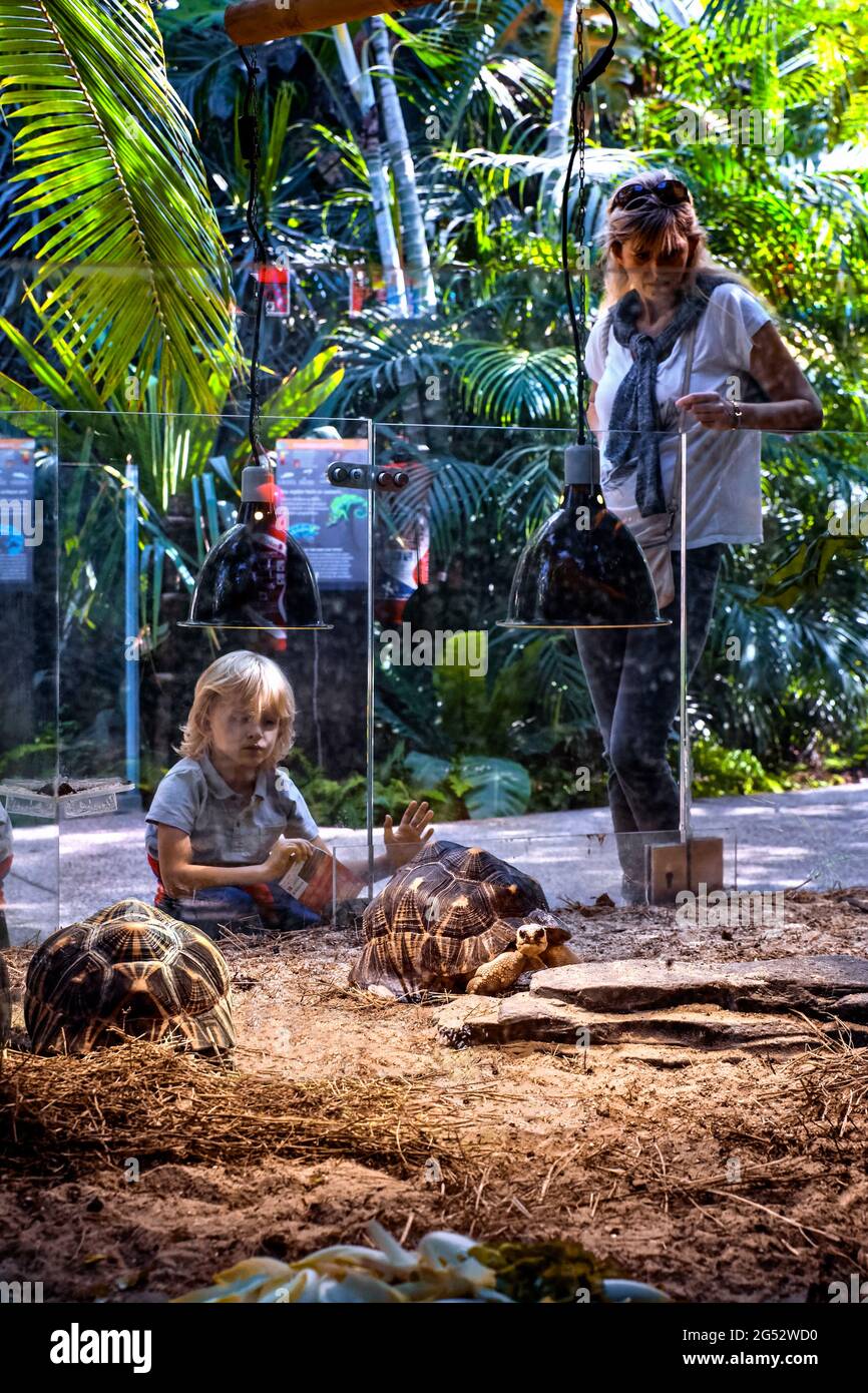 Paris france zoo hi-res stock photography and images - Alamy