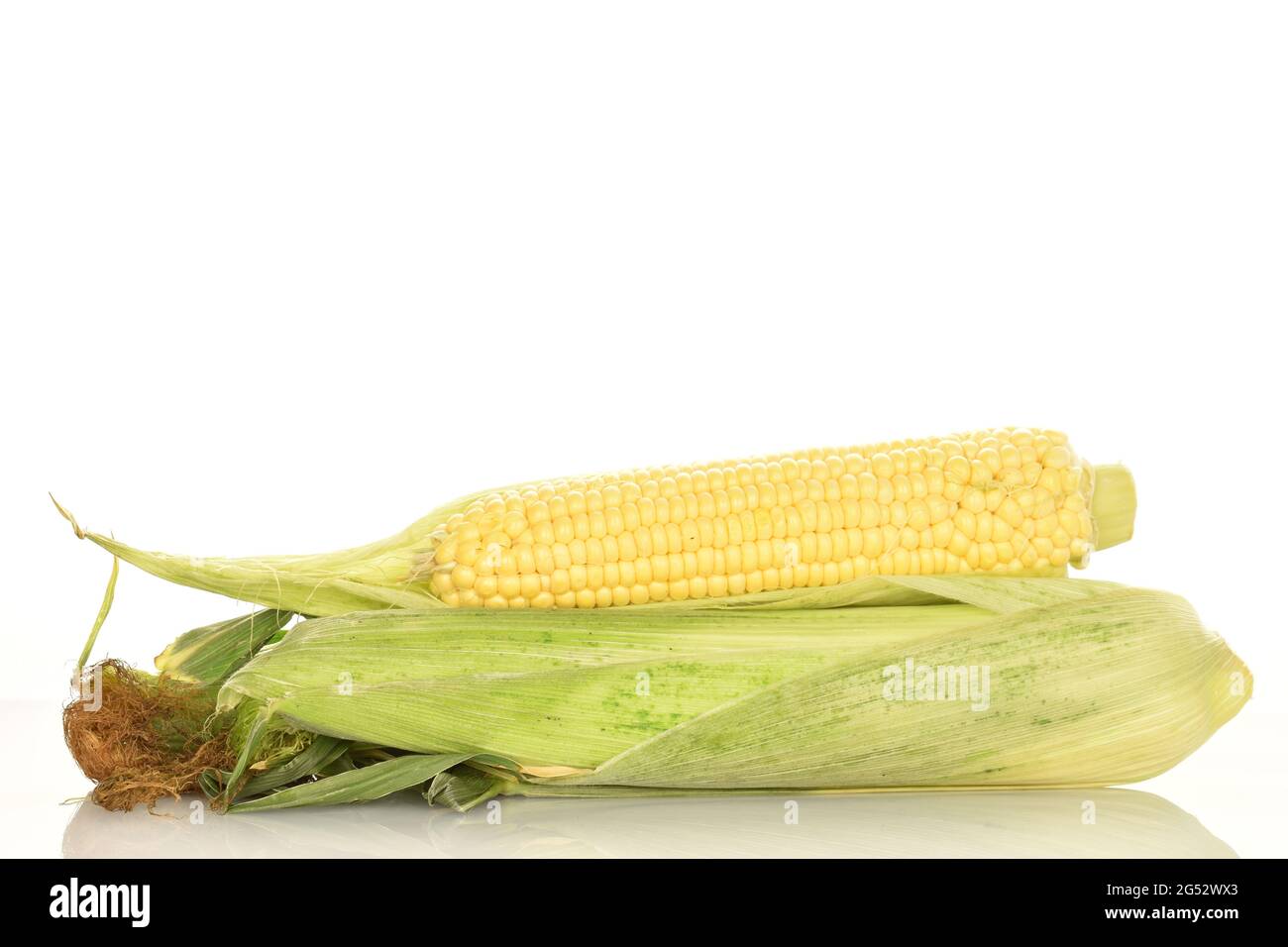 Three cobs of sweet organic corn, close-up, on a white background Stock ...