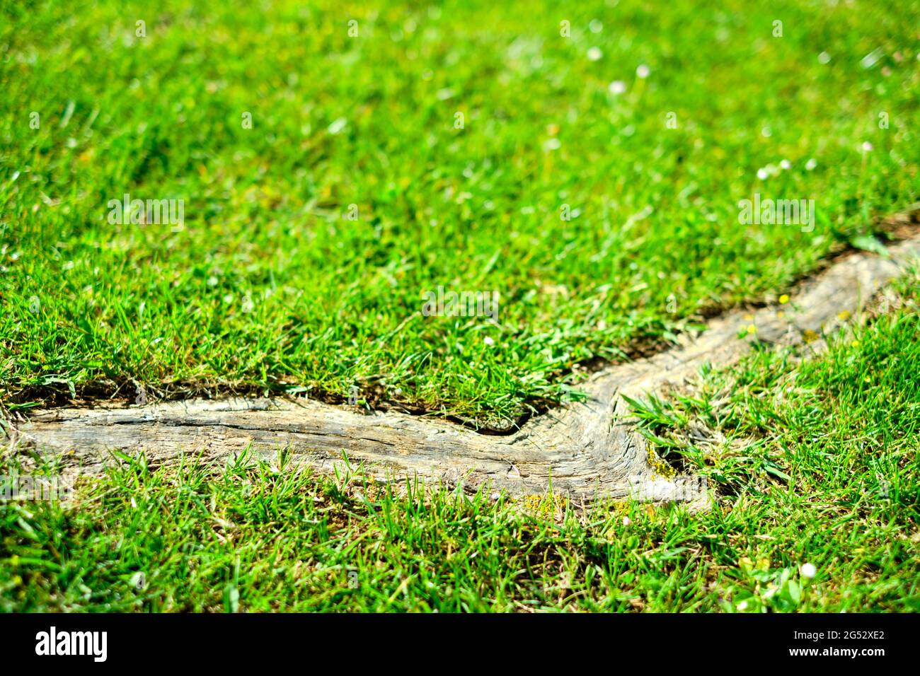 garden grass with wooden wedge Stock Photo - Alamy