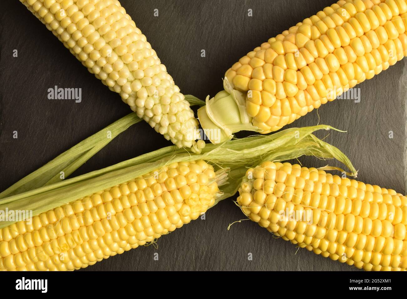 Four cobs of sweet organic corn on a slate board, close-up, top view ...