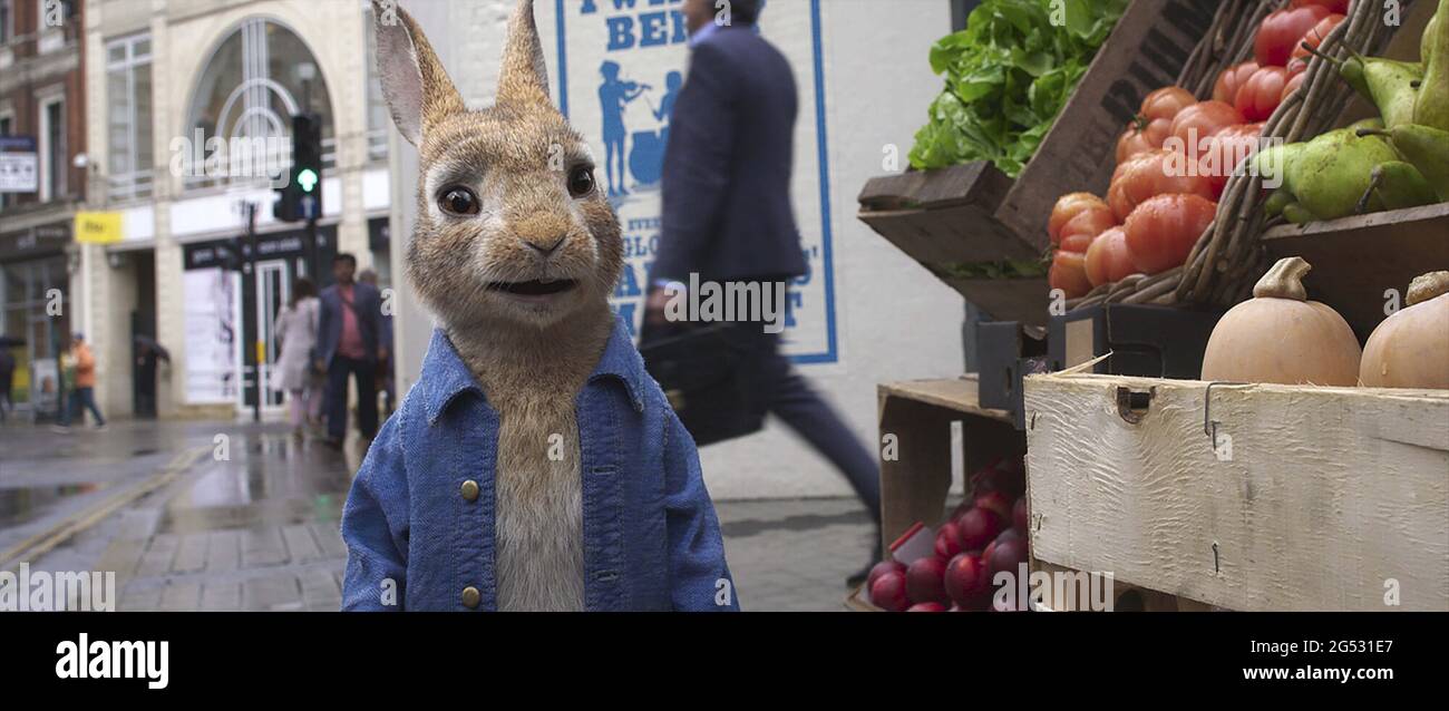 Peter rabbit 2 2021 hi-res stock photography and images - Alamy