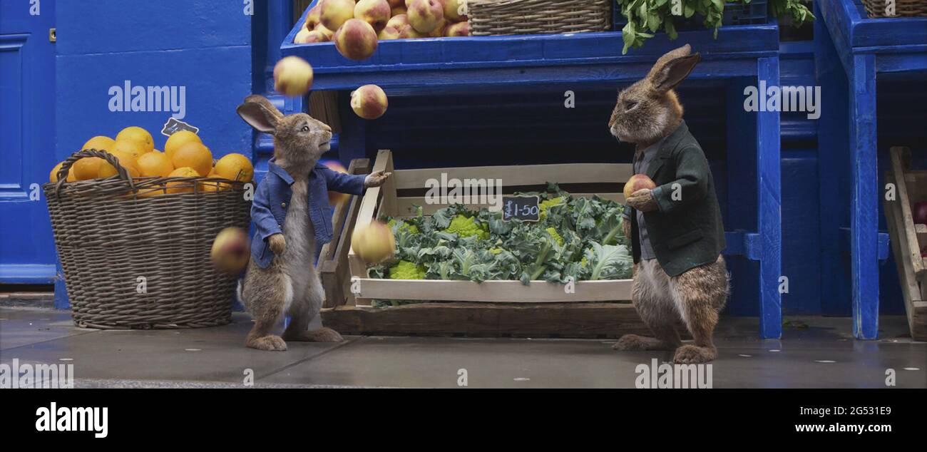 Peter rabbit 2 hi-res stock photography and images - Alamy