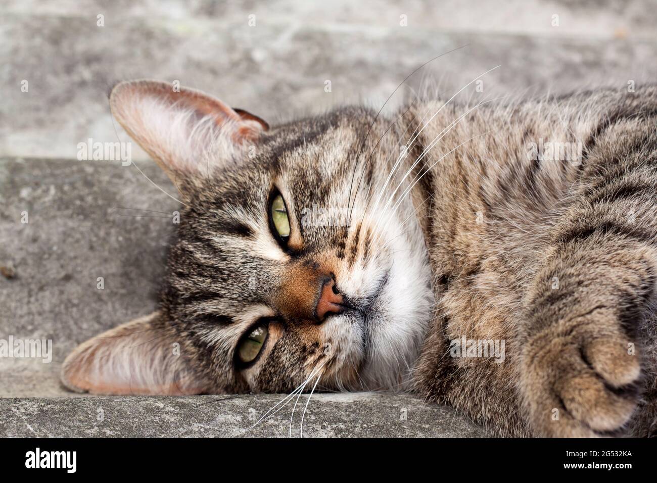 Sleep inertia hi-res stock photography and images - Alamy