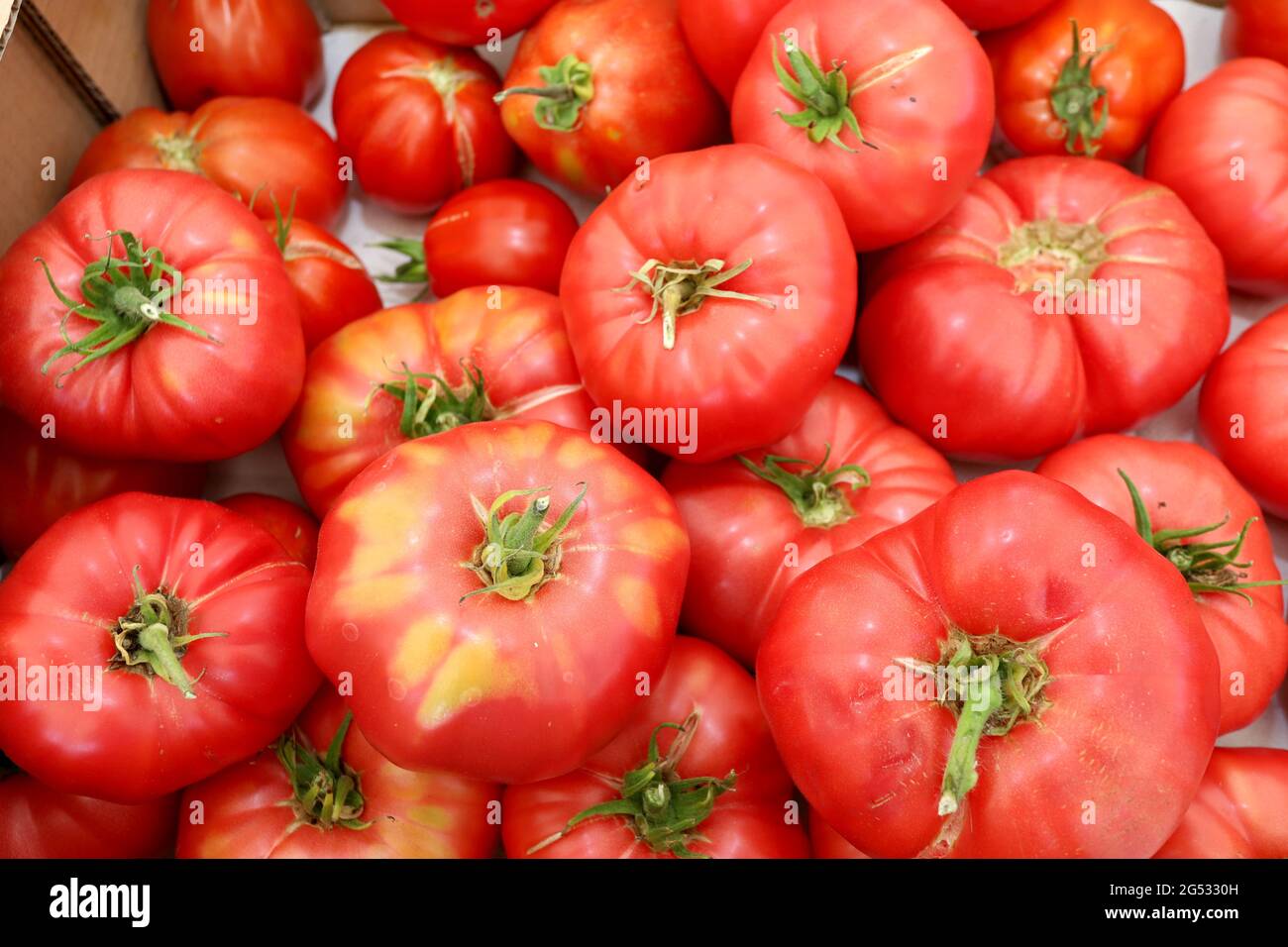 Pink green cherry tomatoes hi-res stock photography and images - Alamy