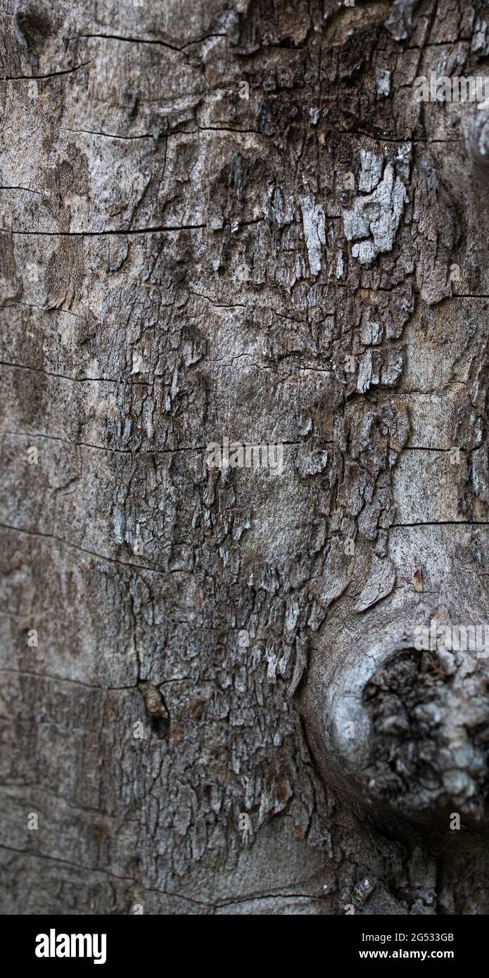 High resolution cork texture hi-res stock photography and images - Alamy