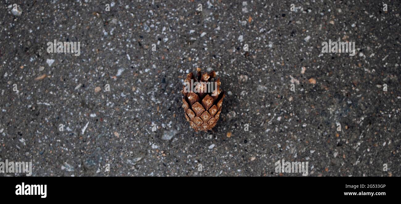 Bit of a lump, on the road on the background of asphalt Stock Photo - Alamy