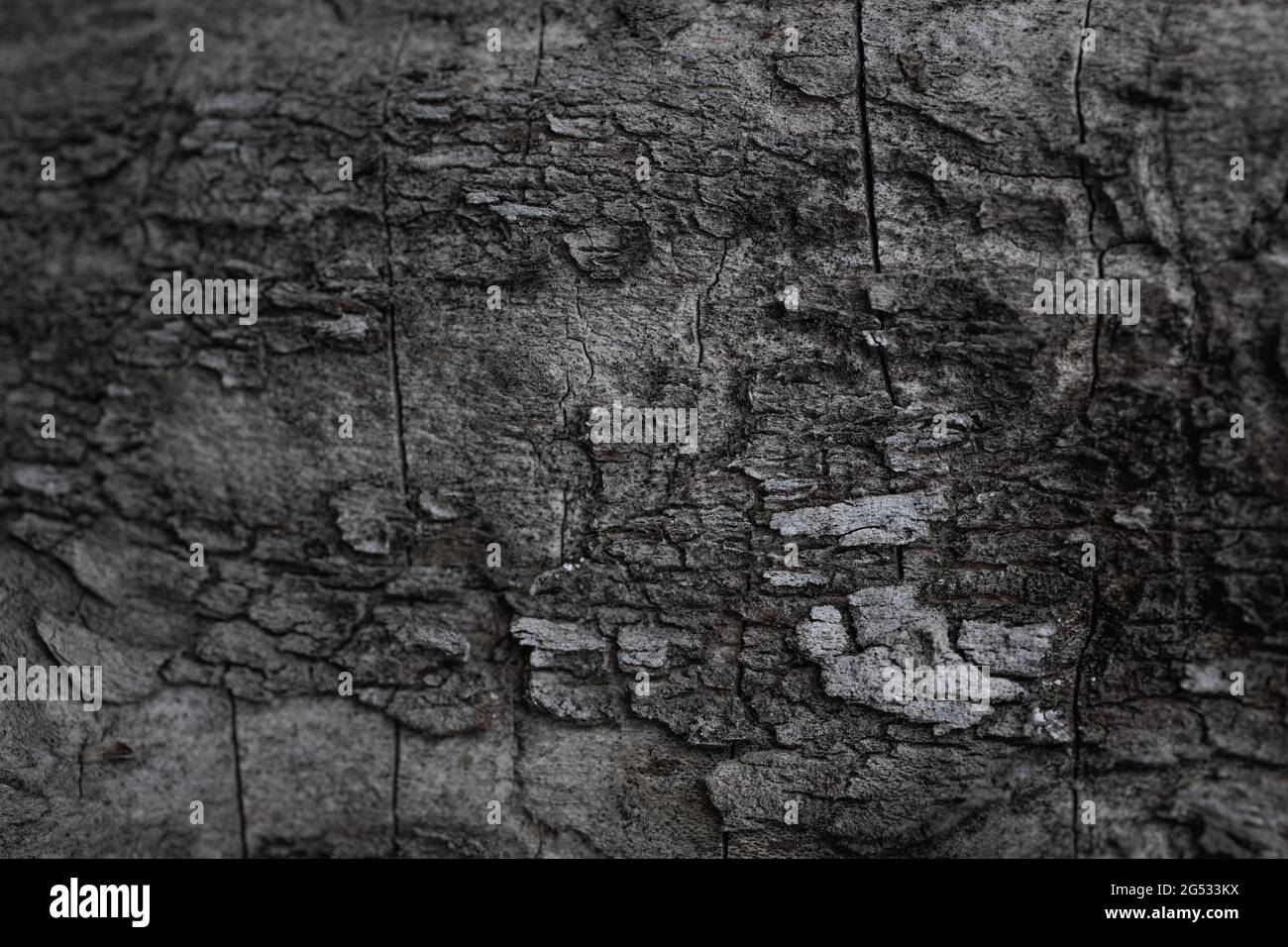 High resolution cork texture hi-res stock photography and images - Alamy