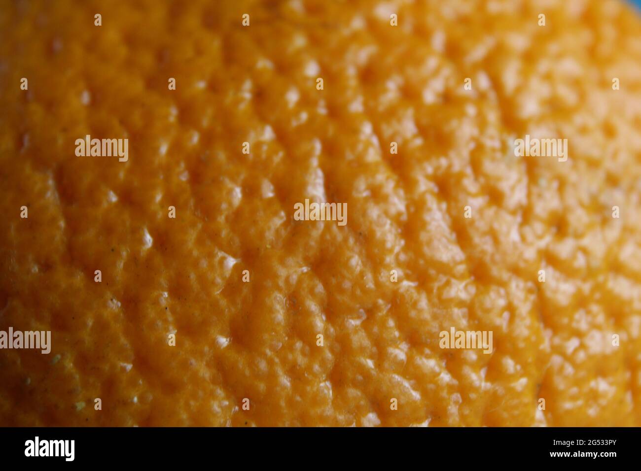 orange peel fruit close-up. Macro photo of eating orange fruit Stock ...