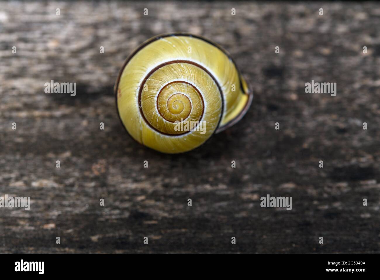 Garden table france hi-res stock photography and images - Alamy