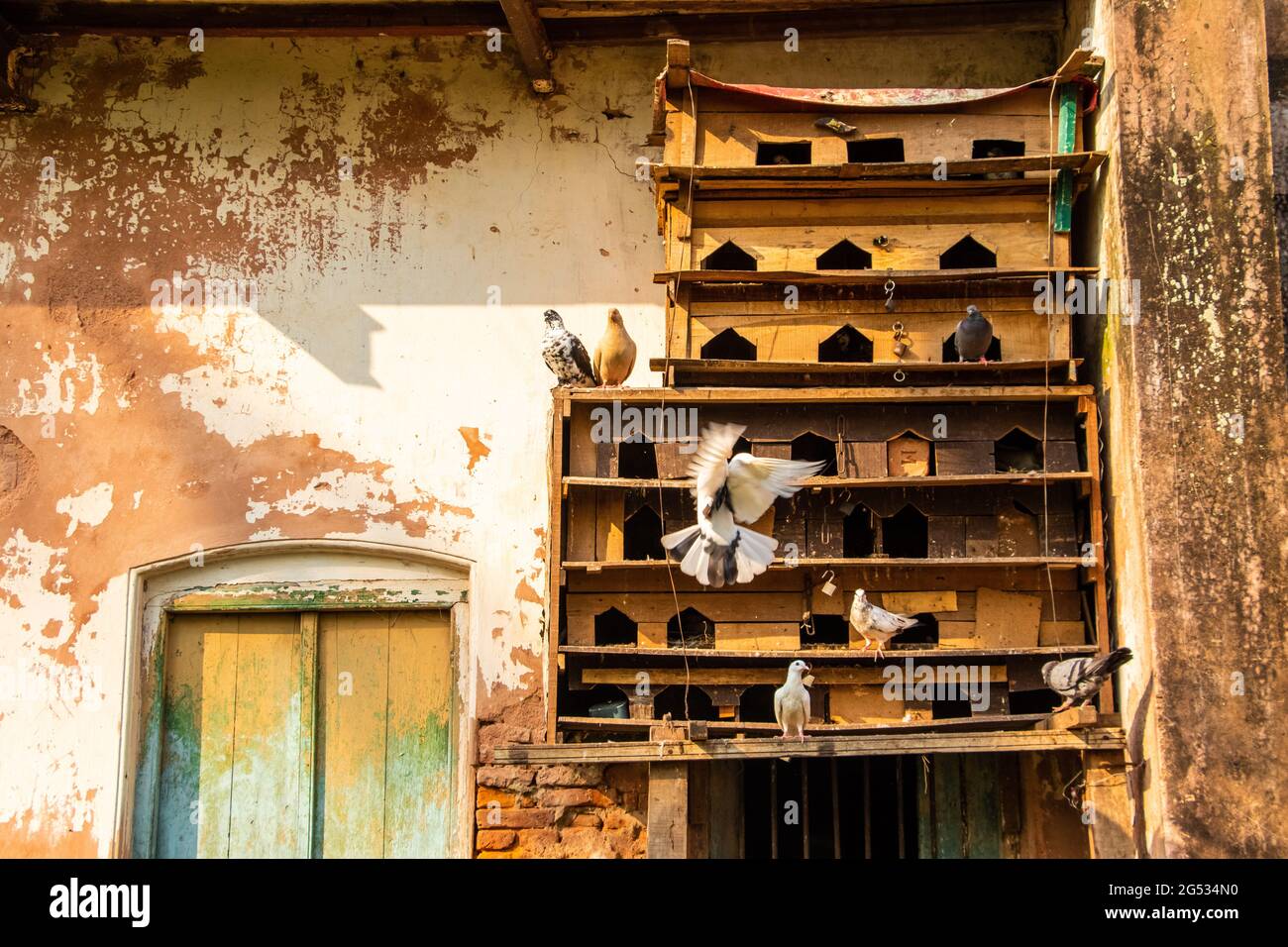 Pigeon House. I captured this image on November 5, 2019, from Sonargaon ...