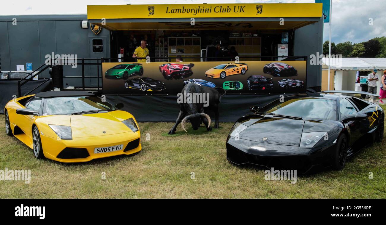 London, UK. 25th June, 2021. The London Classic Car Show comes to Syon ...