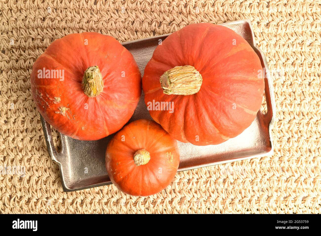 Three ripe organic pumpkins on a metal tray, close-up, on a straw mat ...