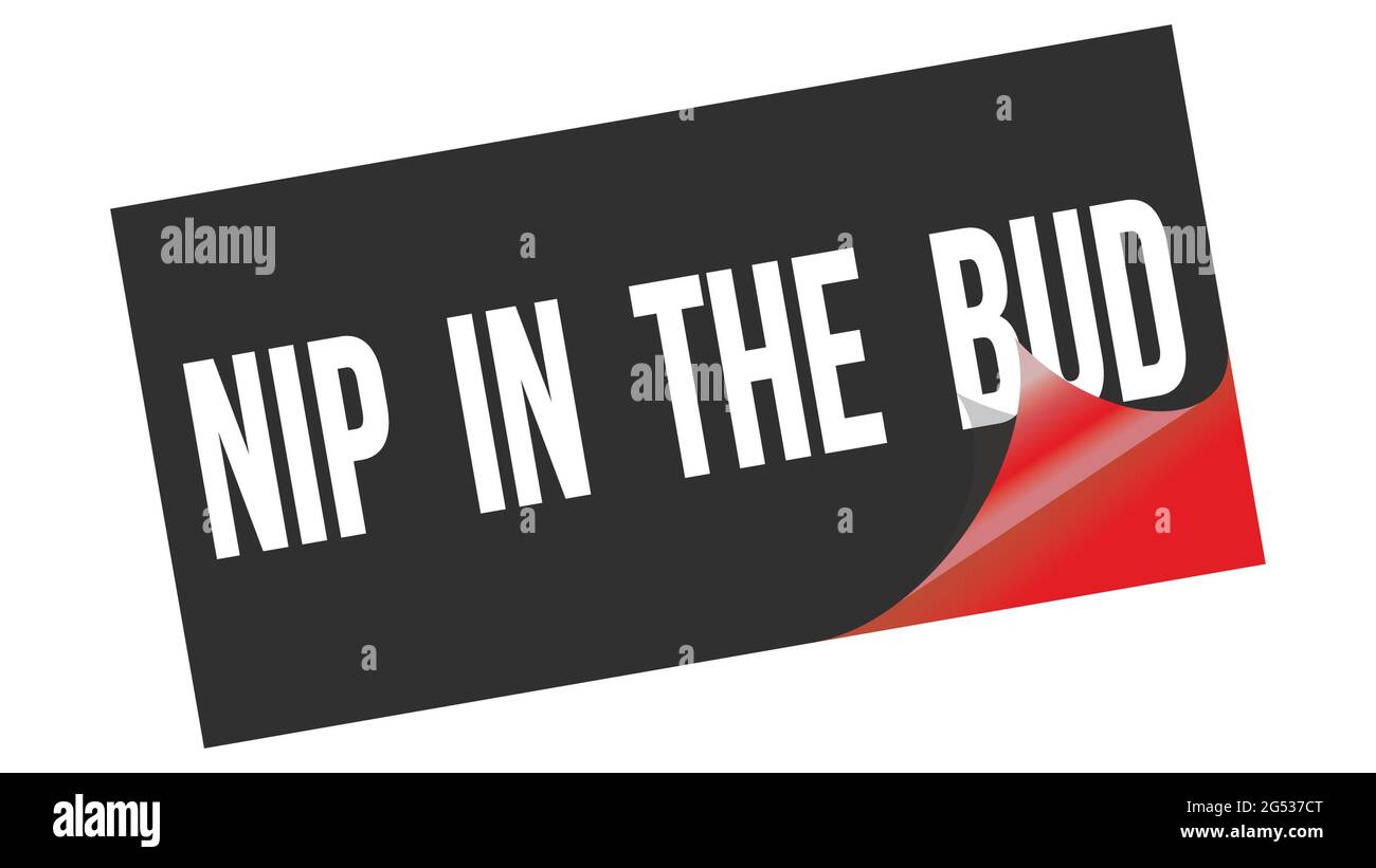 NIP IN THE BUD text written on black red sticker stamp Stock Photo - Alamy