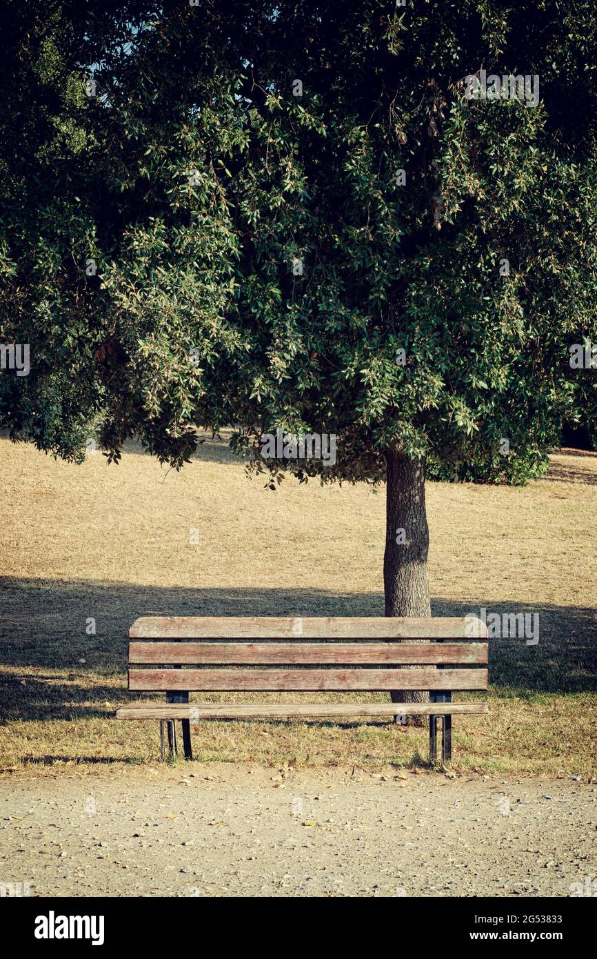 Empty dark wooden bench in the park. A place to sit in nature. Natural ...