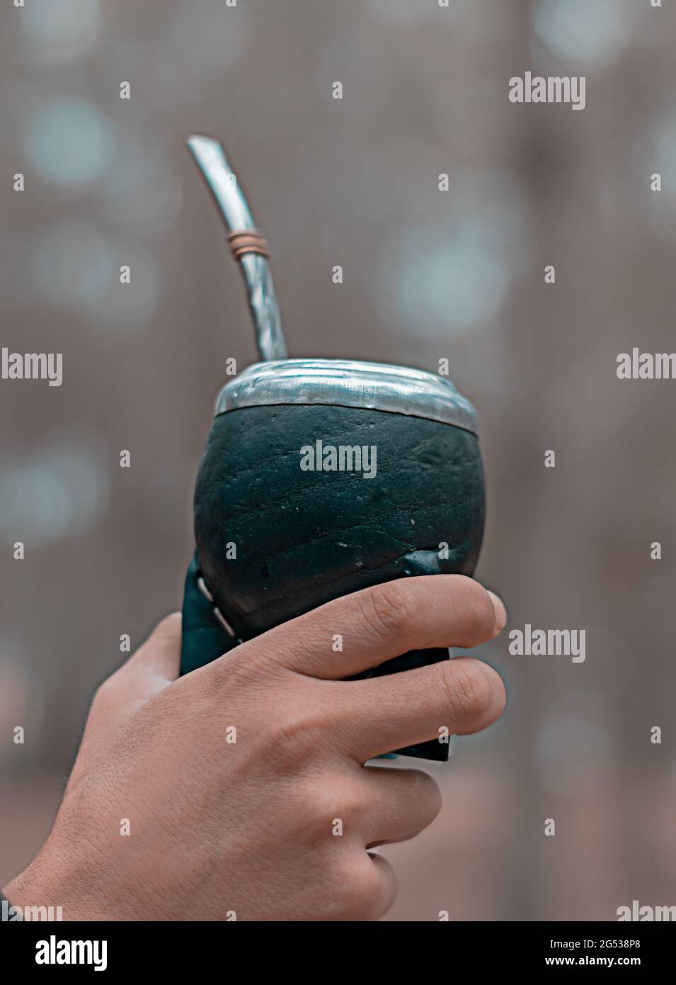 hand holding an argentinean Calabash yerba mate with blurred background ...