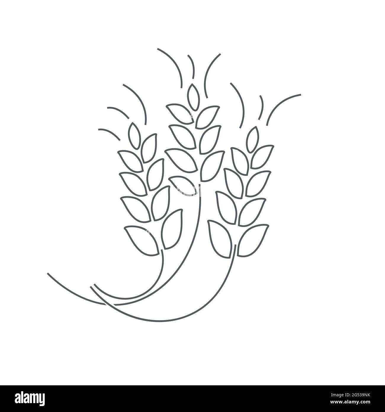 Wheat ear thin flat design Stock Vector Image & Art - Alamy