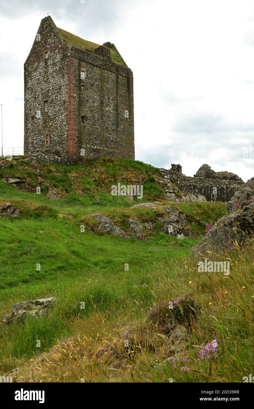 An exterior view of the ruins of a medieval tower house at Smailholm in ...
