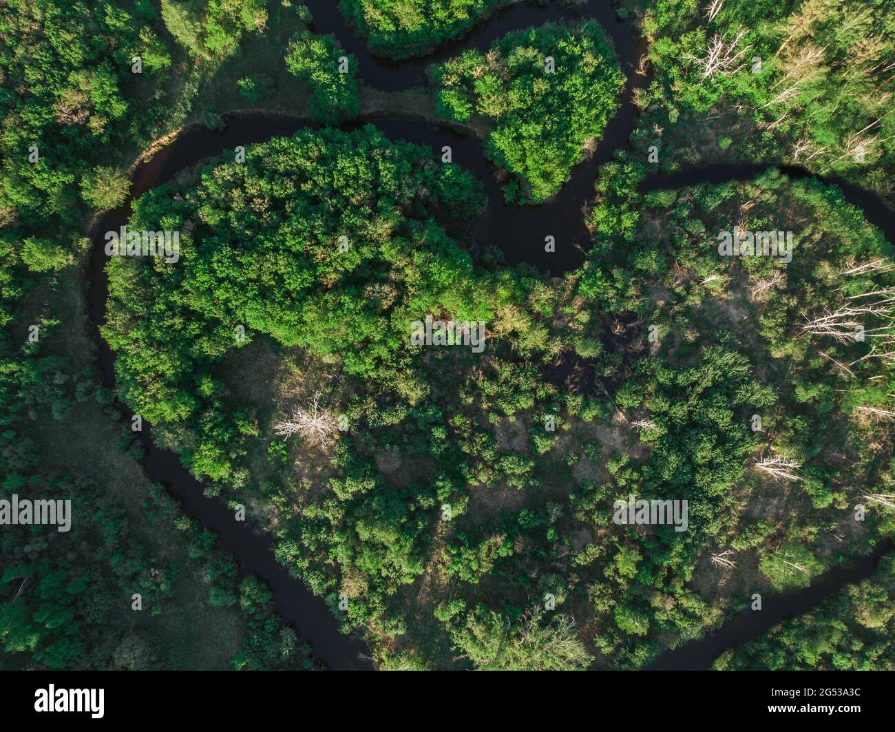 Heart shaped river in Altai territory. Summer june forest. Wonder of ...