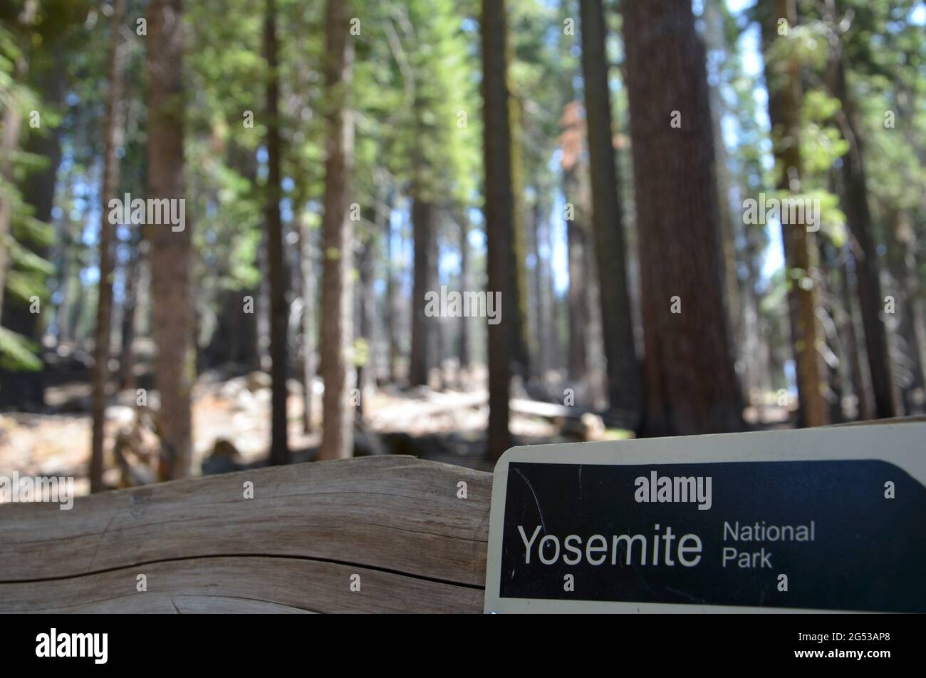 Yosemite National Park sign trees background Stock Photo - Alamy